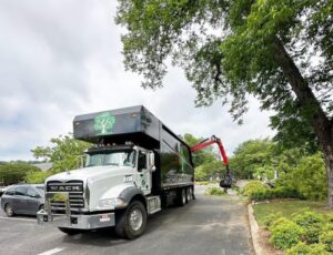 Taylor Tree Service | Tree Removal, Stump Grinding, & Tree Trimming in ...